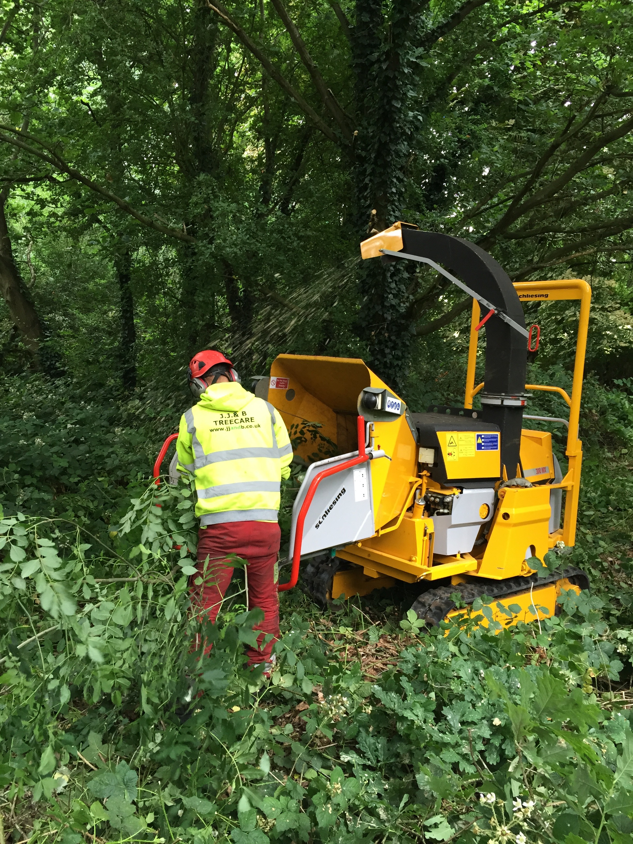 Forestry Tree Care Works - Tree Surgeon - JJ and B Tree Care Surgery ...